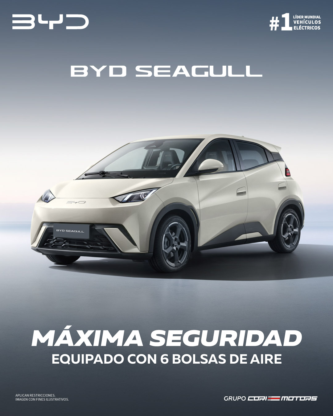 Pinterest Seagull - BYD Costa Rica