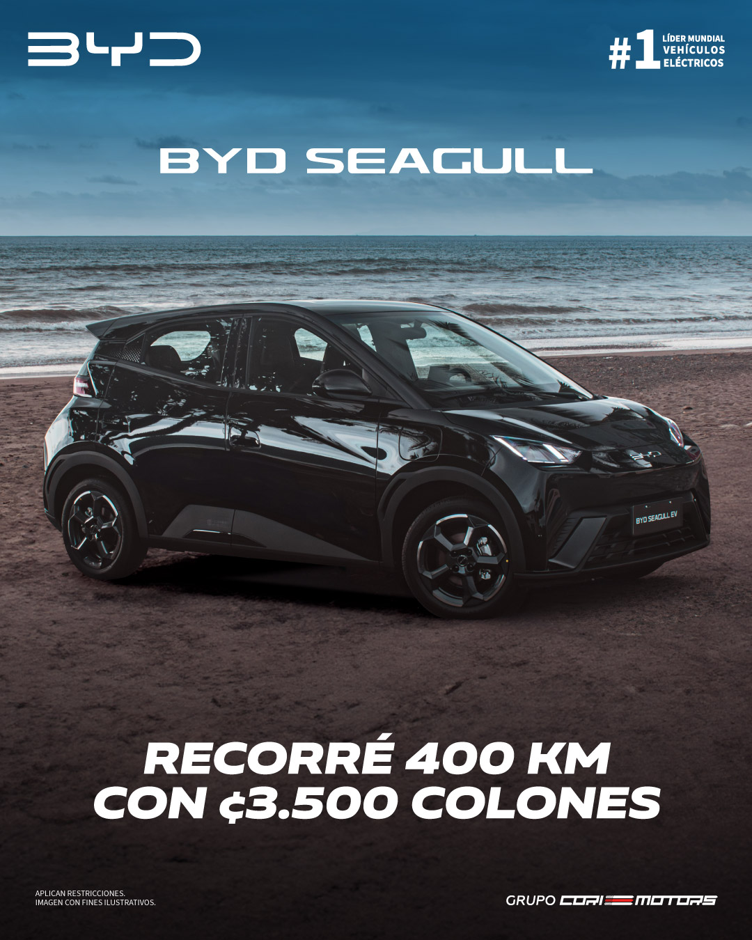 Pinterest Seagull - BYD Costa Rica